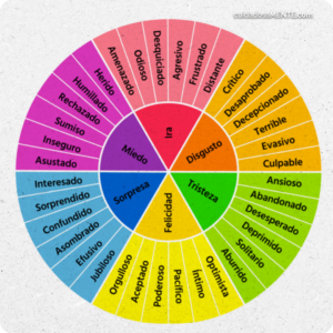 ¿Cuáles son las emociones básicas? - CuidadosaMENTE