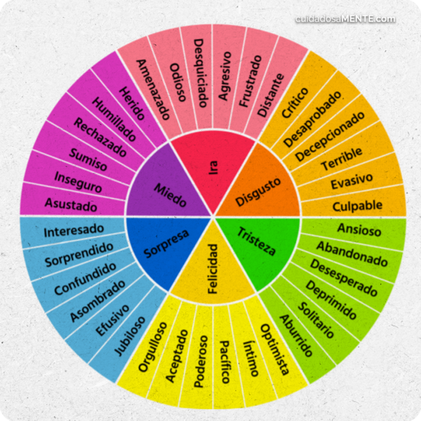 ¿Cuáles son las emociones básicas? - CuidadosaMENTE