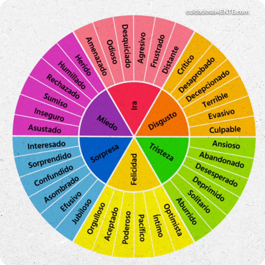 ¿Cuáles son las emociones básicas? - CuidadosaMENTE